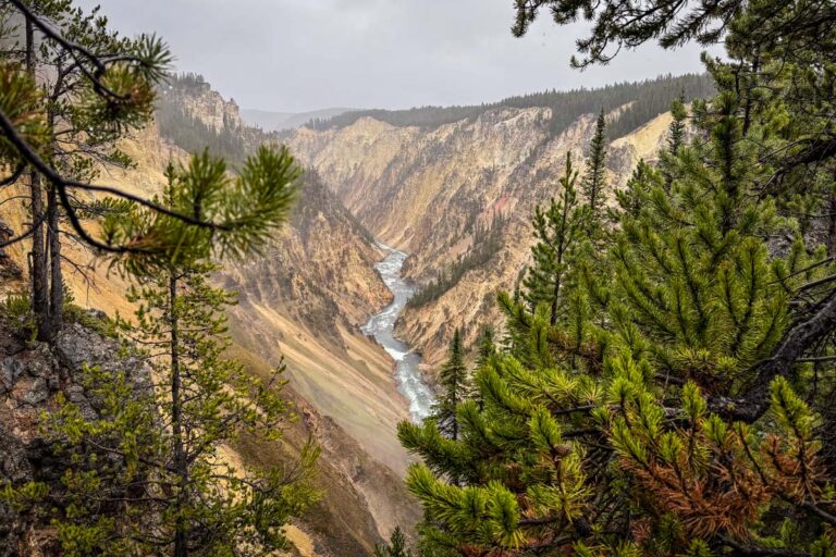 3 Days in Yellowstone Itinerary - Go Wander Wild