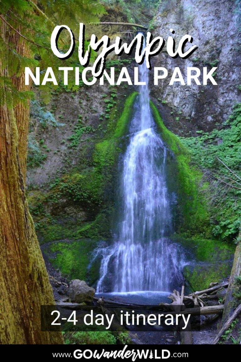 Perfect Itinerary for Olympic National Park (2, 3 and 4 days!) - Go ...