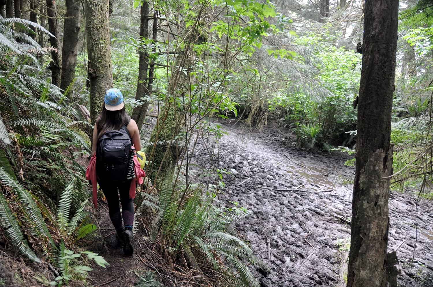 Perfect Itinerary for Olympic National Park (2, 3 and 4 days!) - Go ...