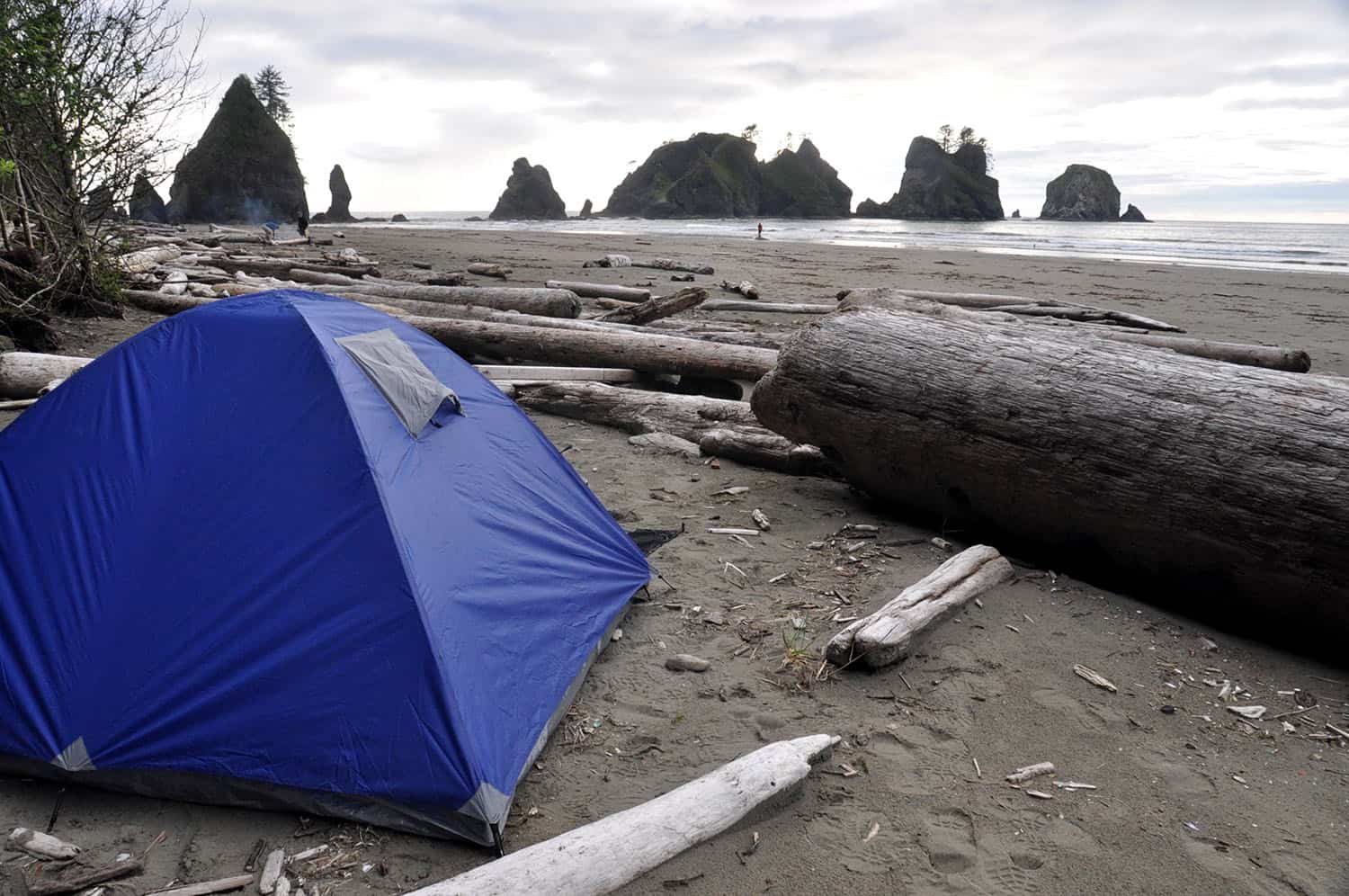 Perfect Itinerary for Olympic National Park (2, 3 and 4 days!) - Go ...