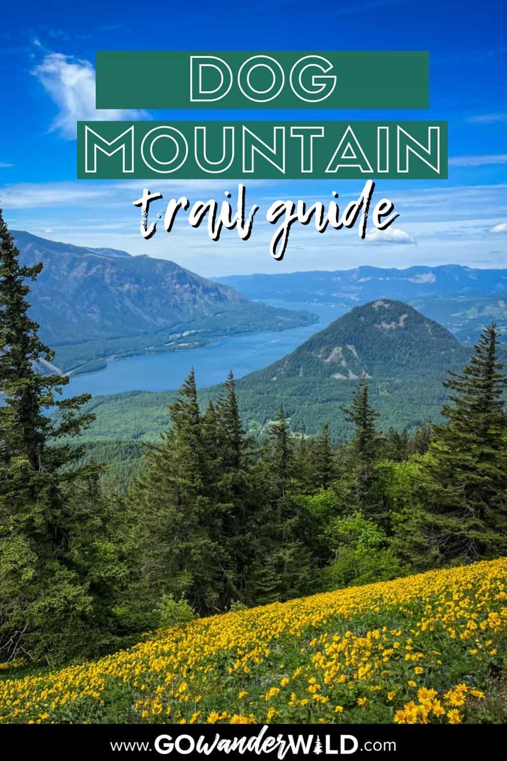 Dog Mountain Trail: Best Wildflower Hike in Washington - Go Wander Wild