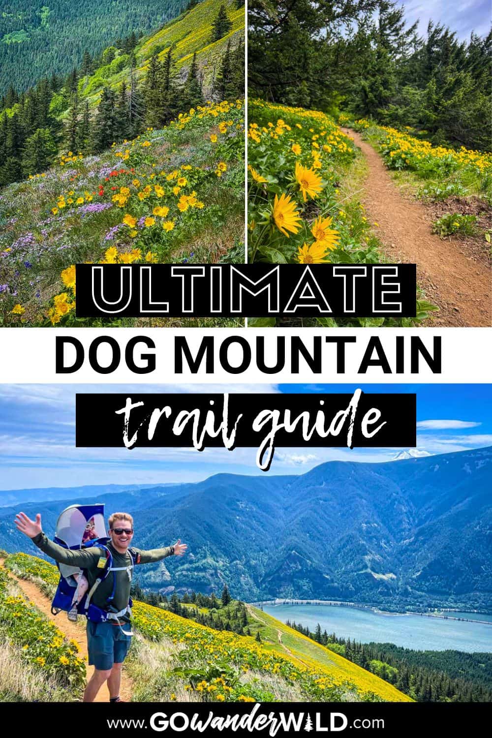 Dog Mountain Trail: Best Wildflower Hike in Washington - Go Wander Wild