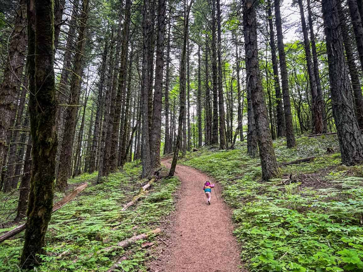 Dog Mountain Trail: Best Wildflower Hike in Washington - Go Wander Wild