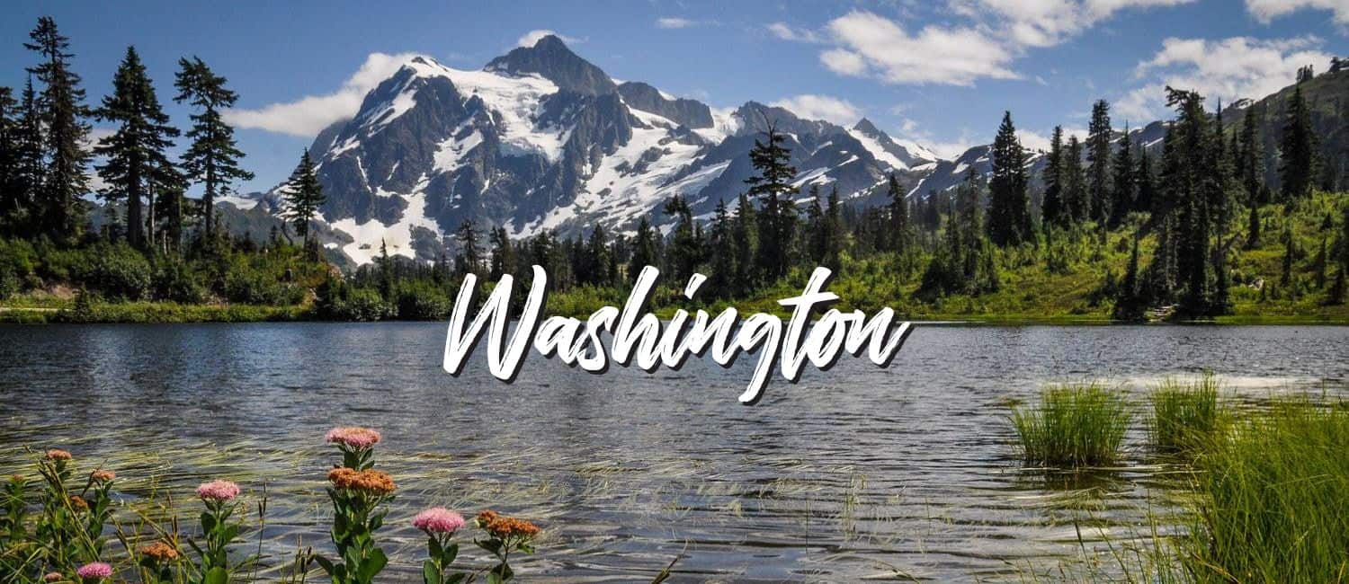 Washington - Go Wander Wild